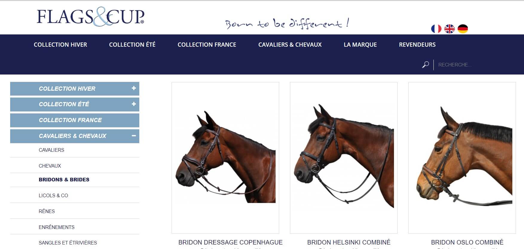 Le filet anatomique - Sélectionner le meilleur pour votre cheval