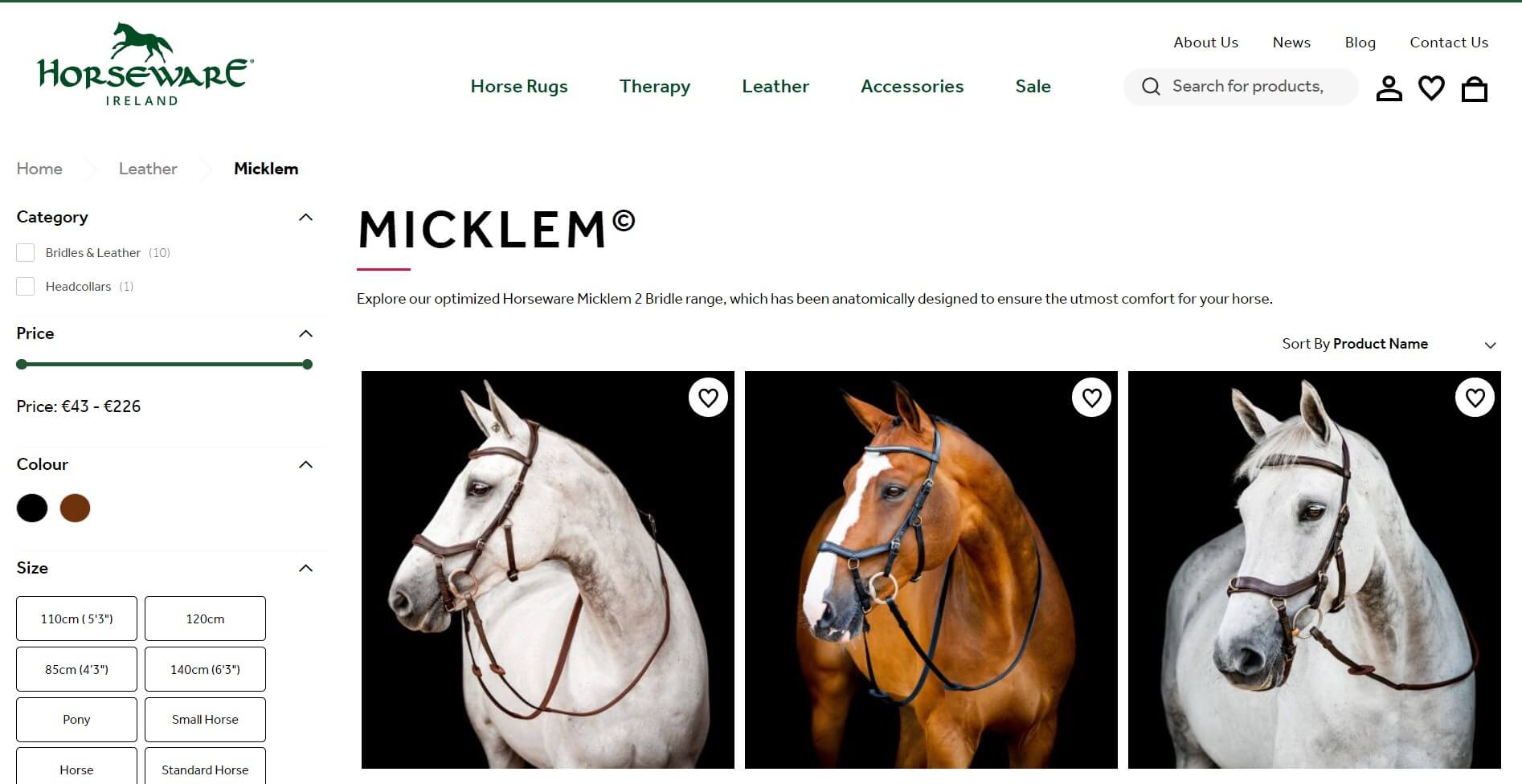 Le filet anatomique - Sélectionner le meilleur pour votre cheval