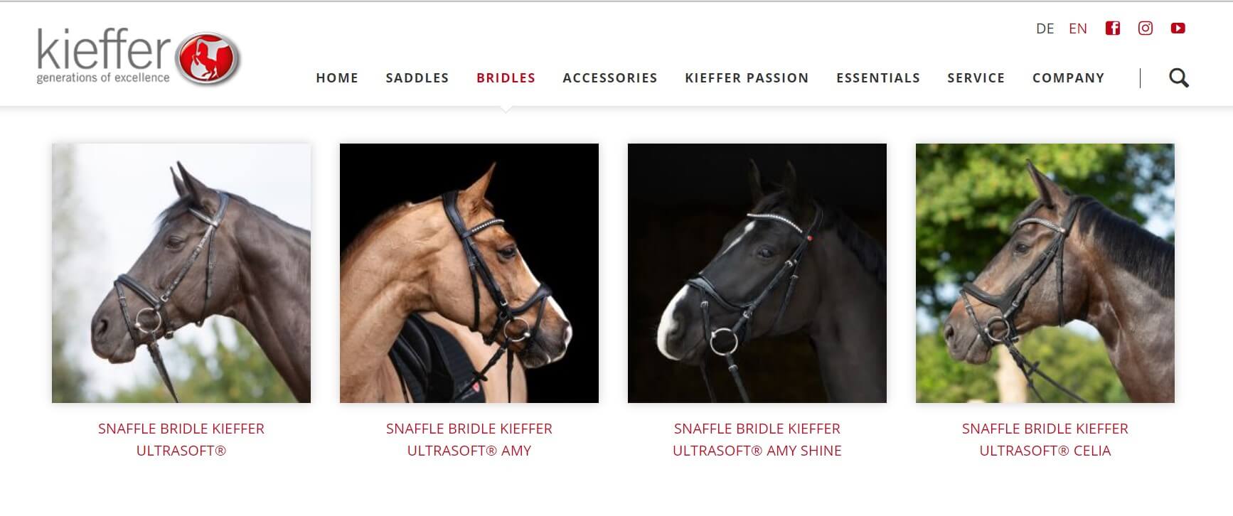 Le filet anatomique - Sélectionner le meilleur pour votre cheval