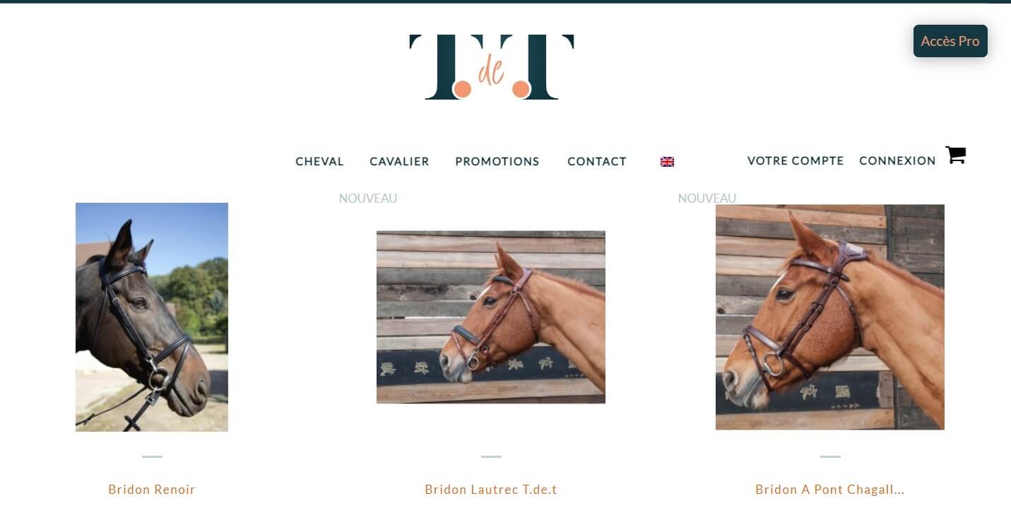 Le filet anatomique - Sélectionner le meilleur pour votre cheval