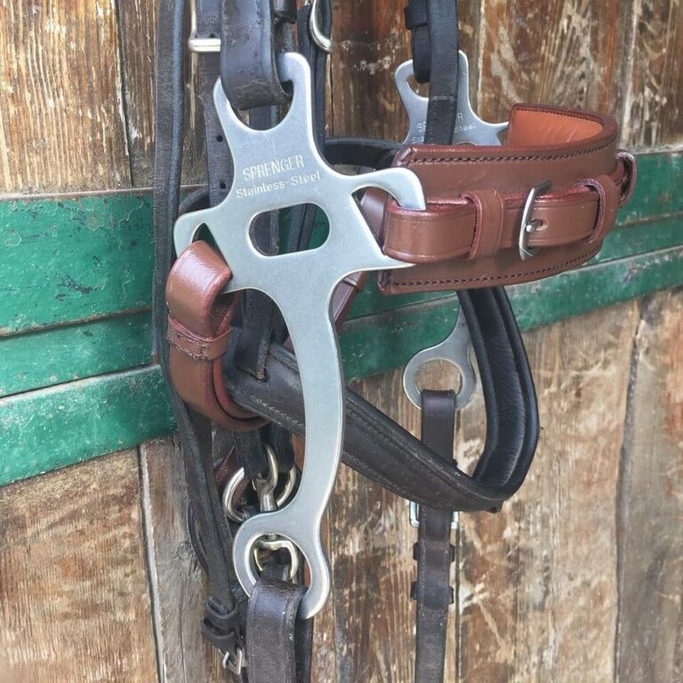 Maîtriser le hackamore - Guide complet pour cavaliers