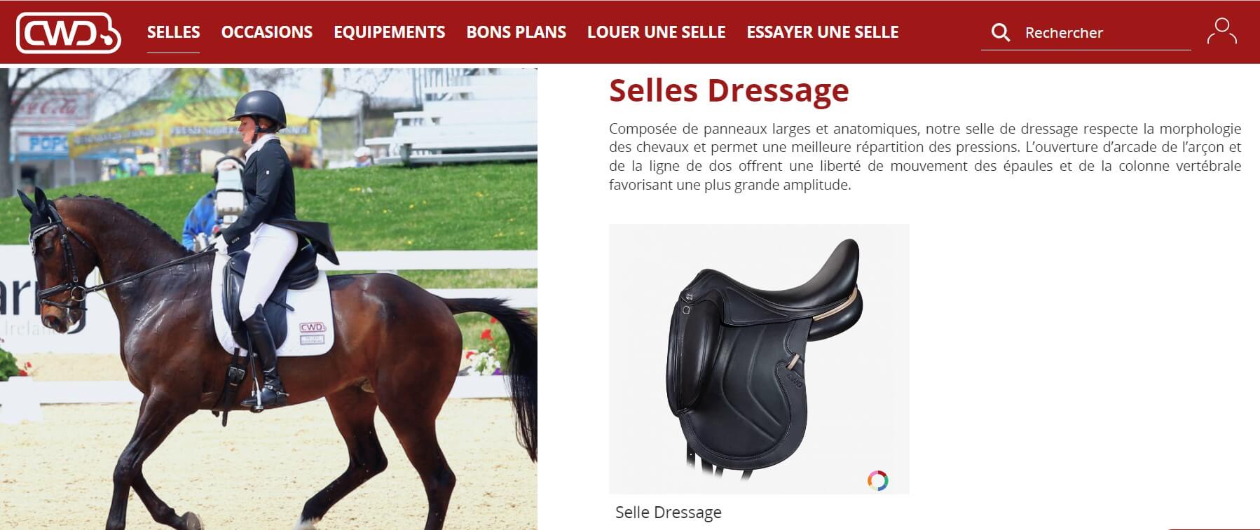 Choisir sa selle de dressage - Les marques les plus célèbres