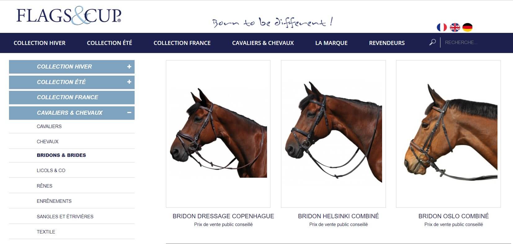 Choisir le bon filet cheval - Un guide essentiel