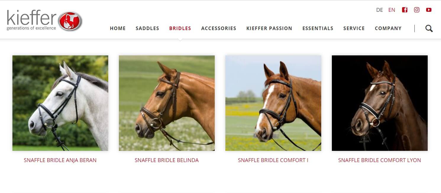 Choisir le bon filet cheval - Un guide essentiel