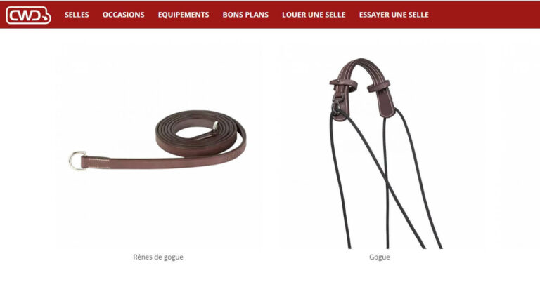 Maîtriser le gogue pour cheval - Guide complet du cavalier