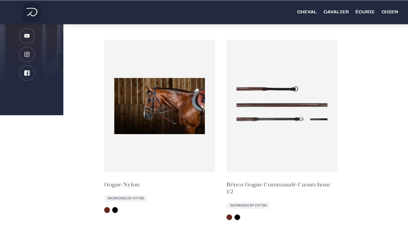 Maîtriser le gogue pour cheval - Guide complet du cavalier