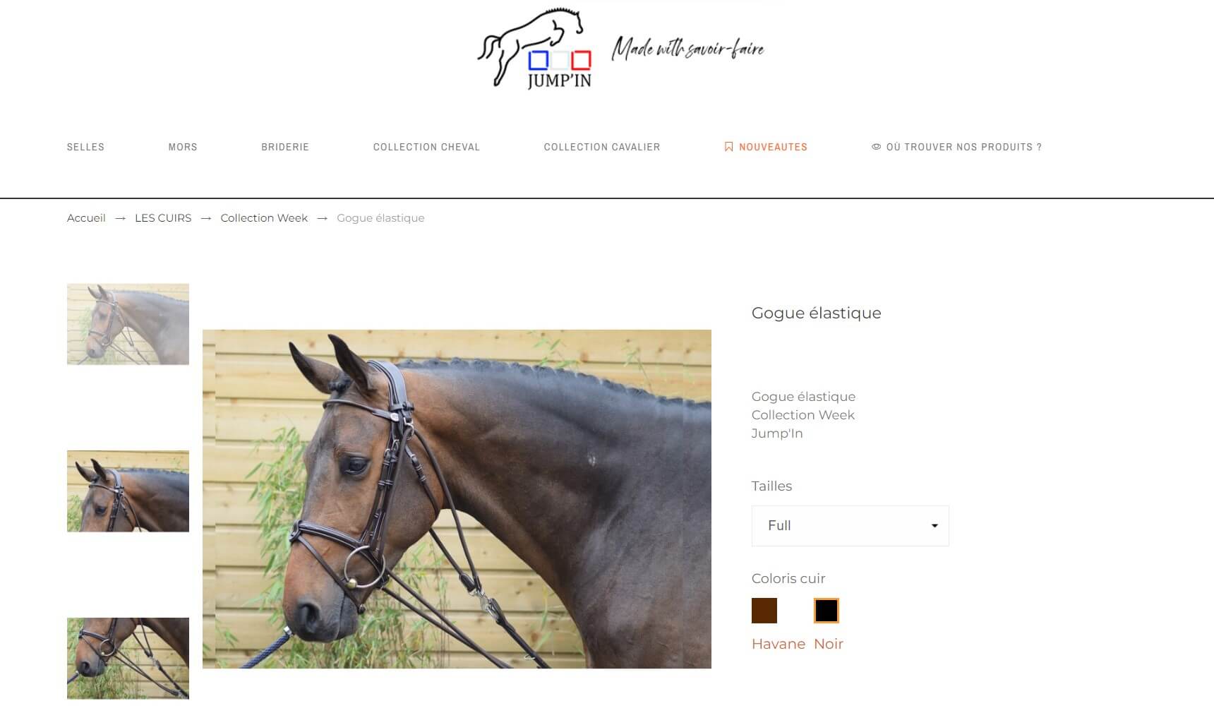 Maîtriser le gogue pour cheval - Guide complet du cavalier