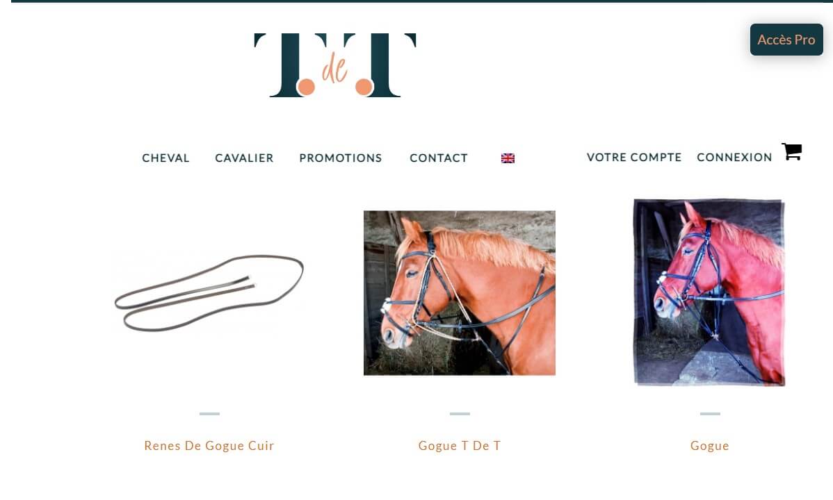 Maîtriser le gogue pour cheval - Guide complet du cavalier