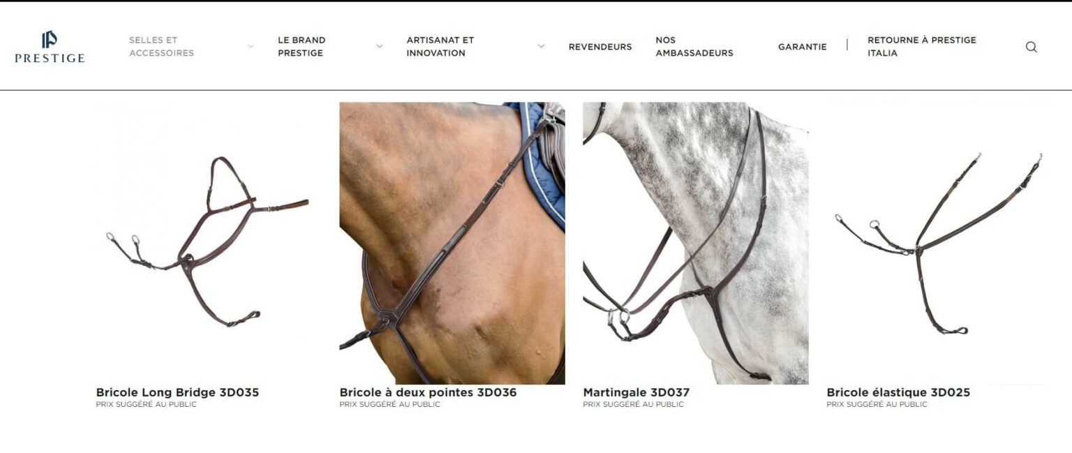 Tout sur la martingale - Un outil essentiel pour cavalier