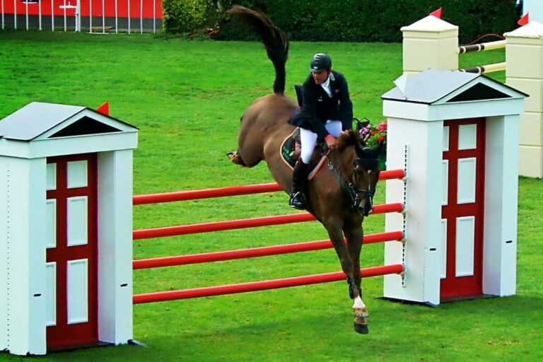 La biomécanique du saut du cheval - Entre Cavaliers