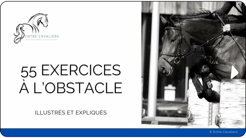 Que faire en cas de sarcoïdes chez le cheval? Guide détaillé