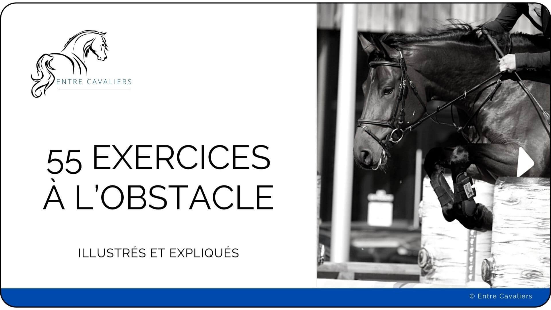 Monde du hunter en équitation - Art, tradition et technique