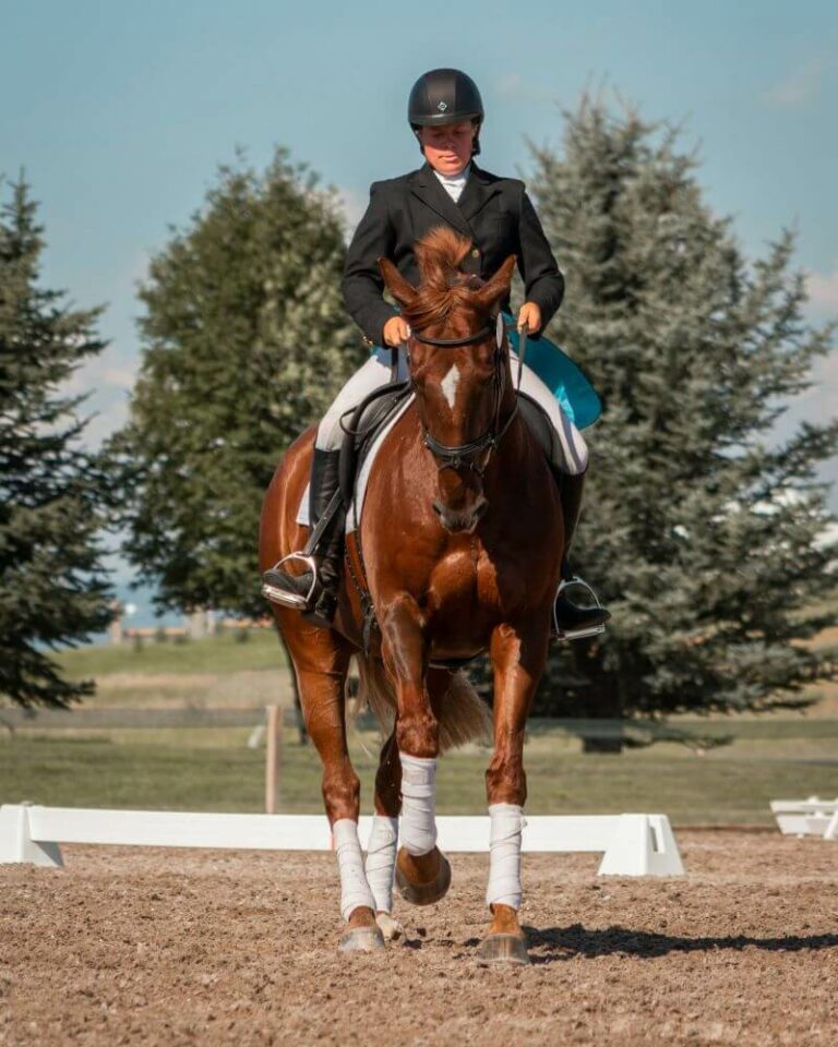 Demi-volte et demi-volte renversée en équitation