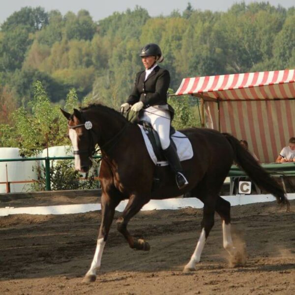 Pourquoi et comment faire du contre-galop avec son cheval?