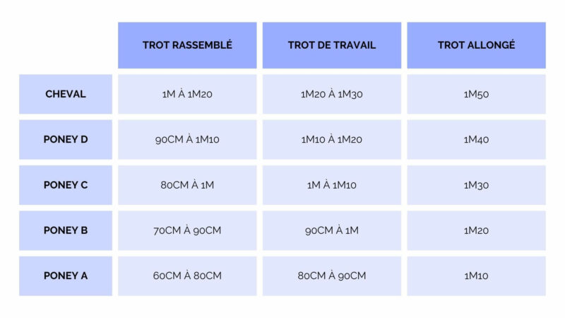 Quelles distances entre les barres au sol au trot et au galop?