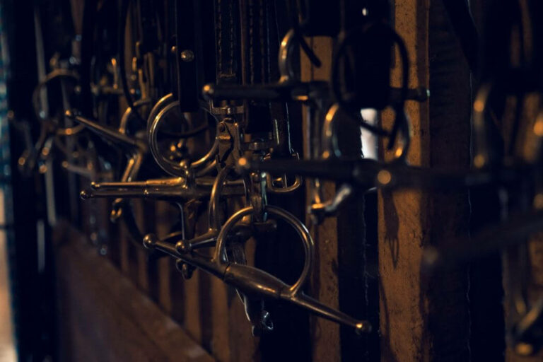 Comment choisir un mors pour son cheval? Conseils d’experts