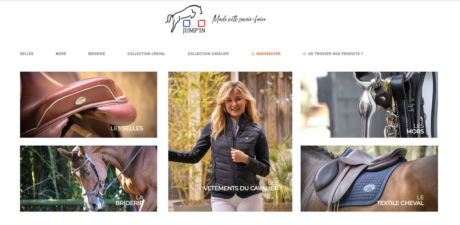 Comment choisir un mors pour son cheval? Conseils d’experts