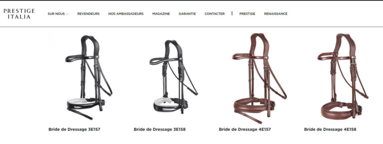 Choisir une bride pour son cheval - Conseils d’experts