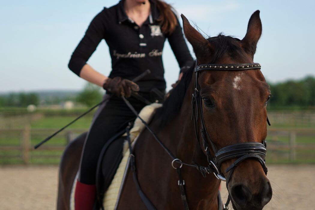 La cravache en équitation - Entre aide et communication