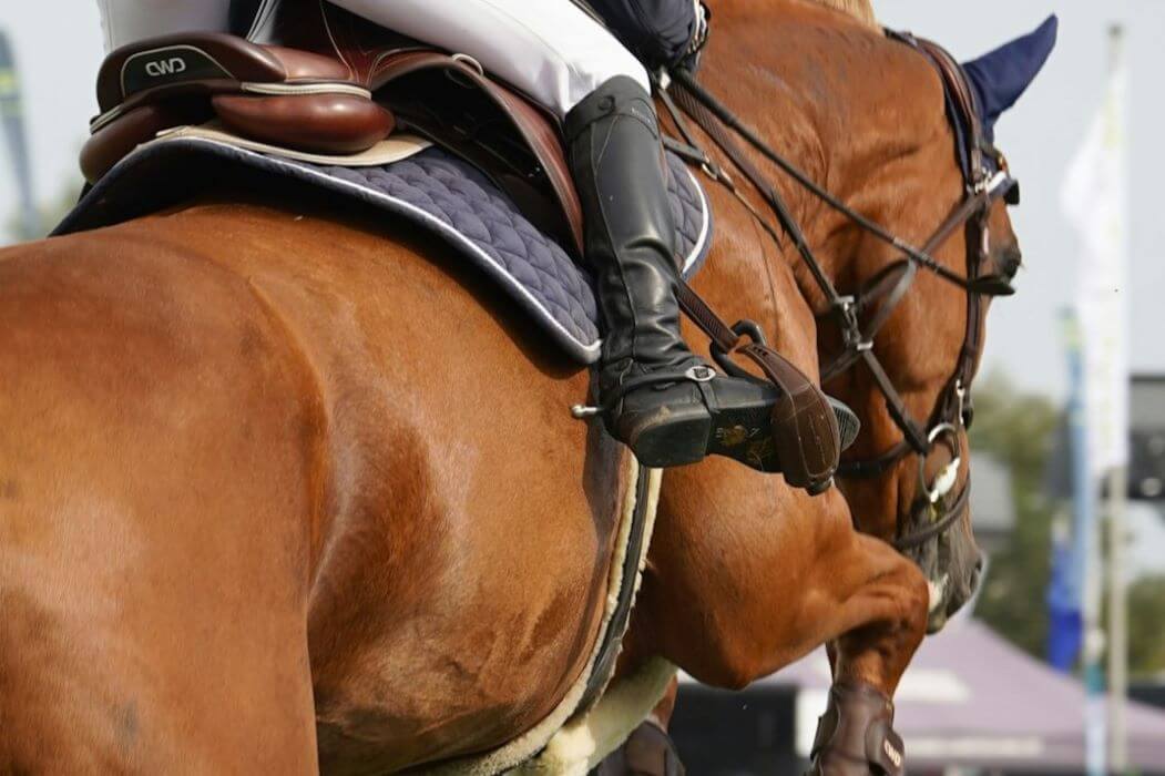 Les éperons sur le cheval - Sélection et utilisation