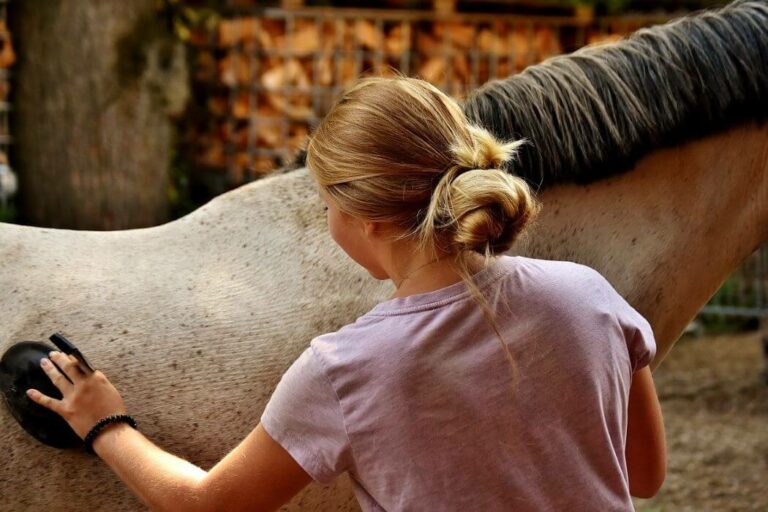 Comment utiliser l’étrille pour panser son cheval?
