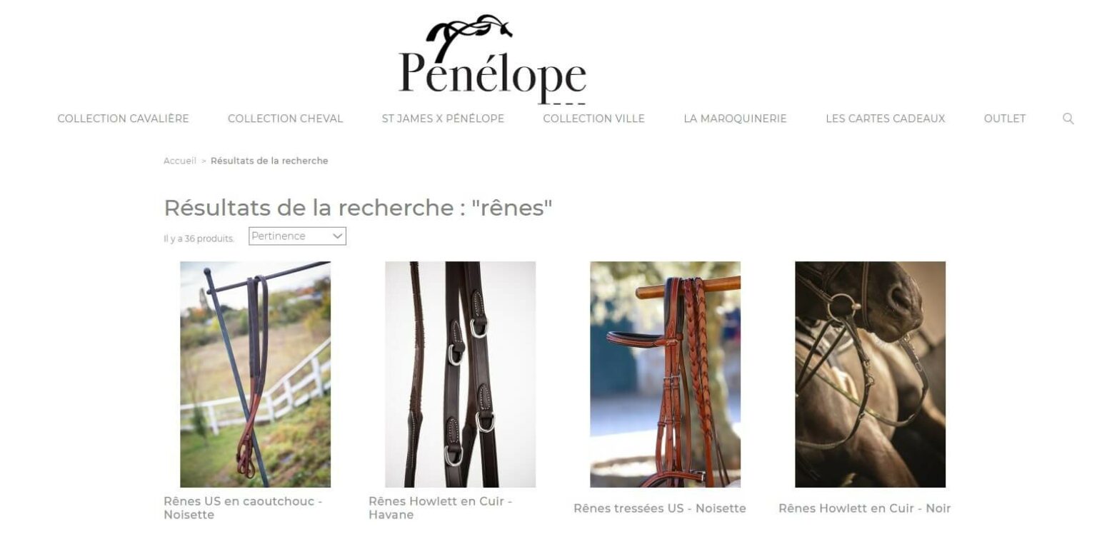 Les rênes en équitation - Indispensables pour monter à cheval