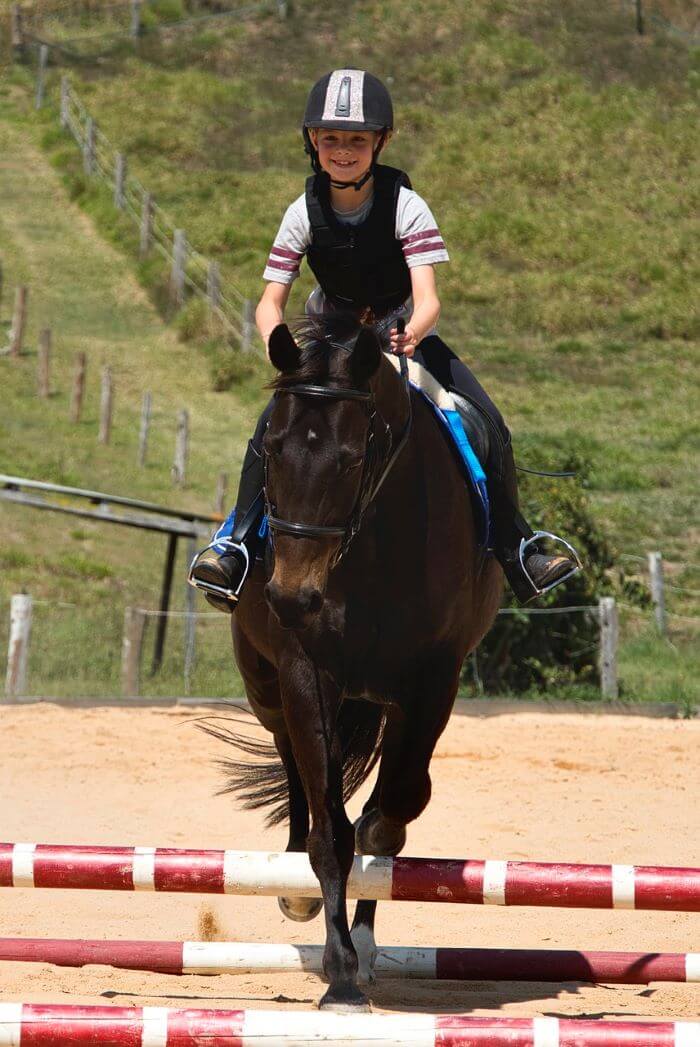 La demi-pension d’un cheval - Tout ce que vous devez savoir