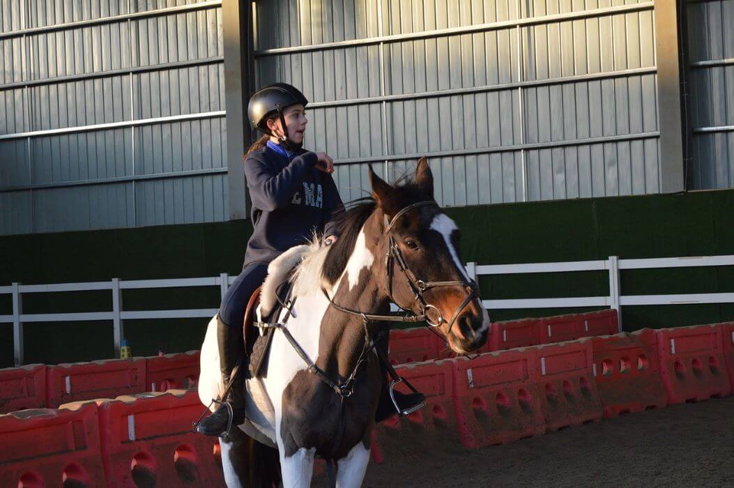 La demi-pension d’un cheval - Tout ce que vous devez savoir