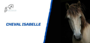 Le cheval isabelle - Un éclat naturel au cœur des robes