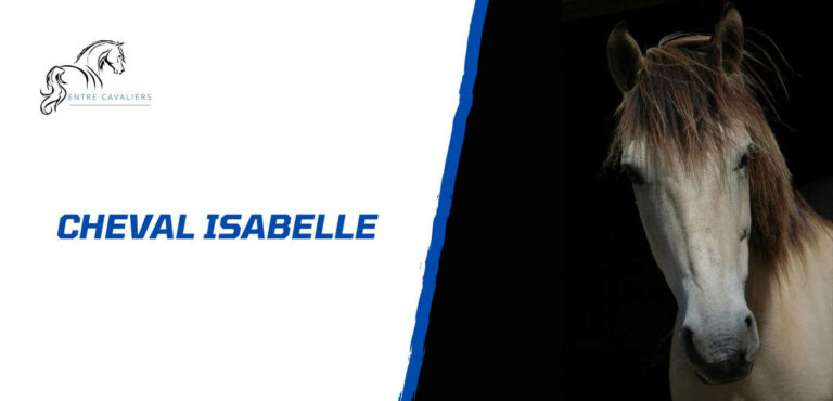 La robe du cheval - Un guide détaillé - Entre Cavaliers