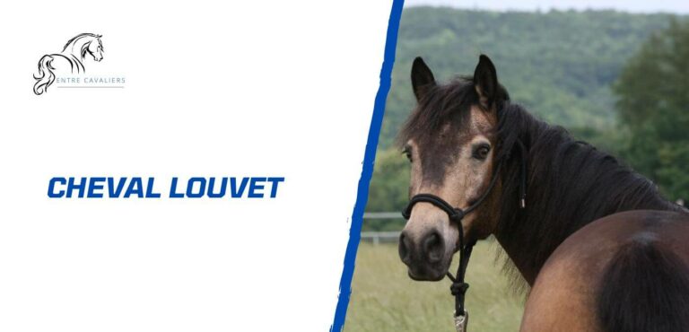 La robe du cheval - Un guide détaillé - Entre Cavaliers